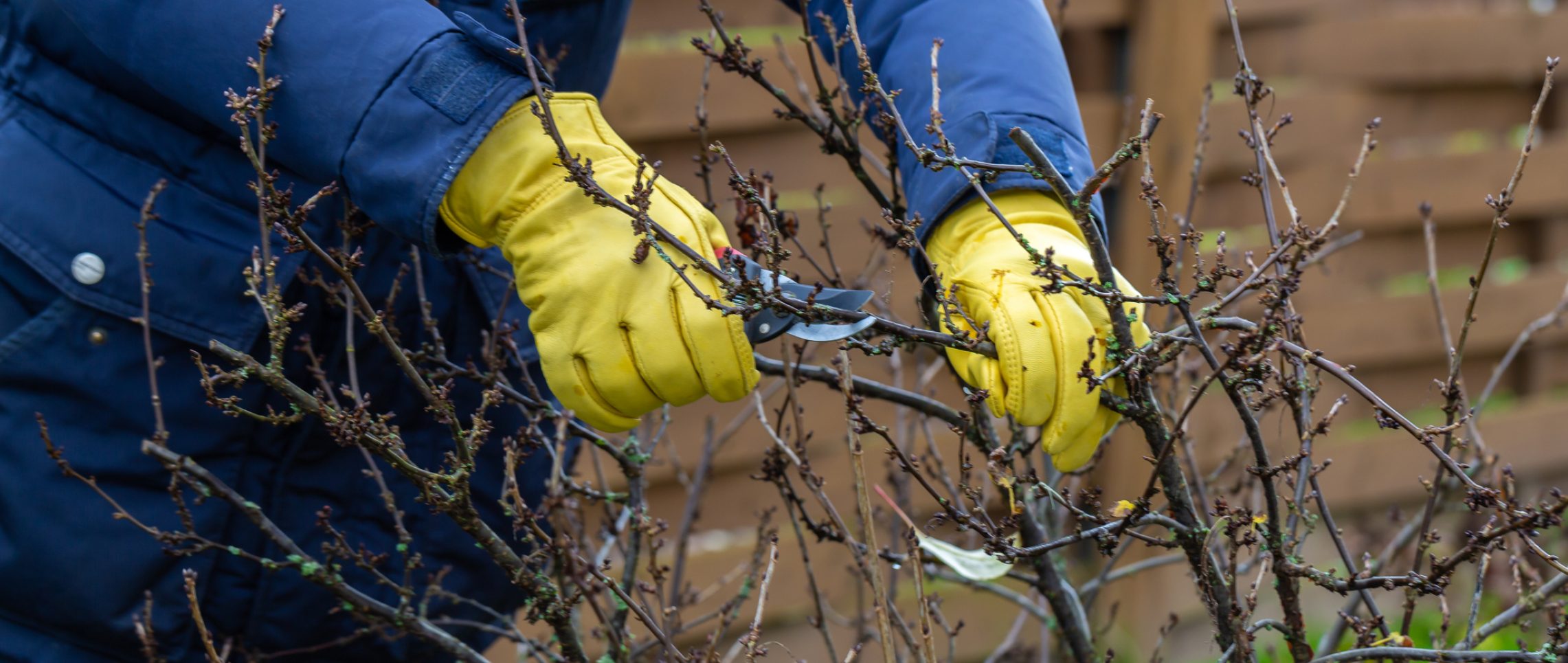 How do I remove old accounts and profiles from the internet? A simple 6 ...