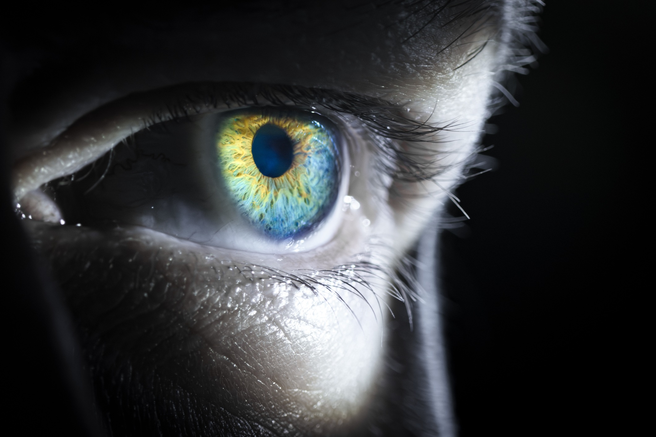 Top eye-opening internet privacy concerns in the age of AI ...